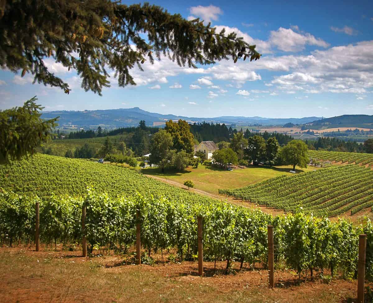 Romantic Pacific Northwest Getaways for Wine & Beer Lovers - Discover ...