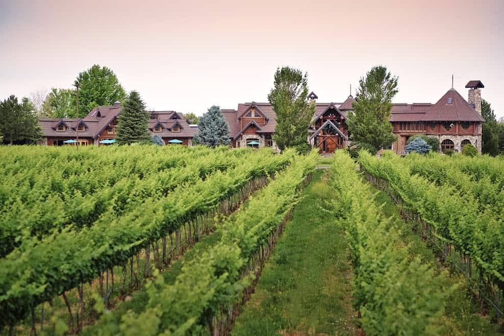 Wine & Romance at Basel Cellars Estate Winery - Discover the Pacific ...