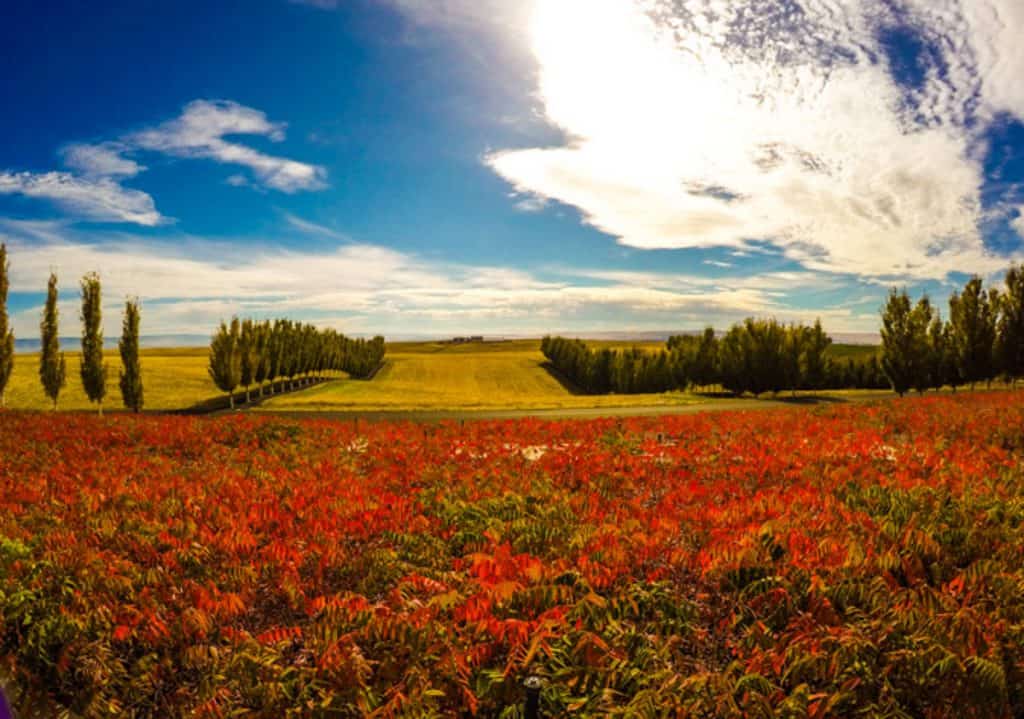 7 Ways to Enjoy Fall in Washington State - Discover the Pacific Northwest