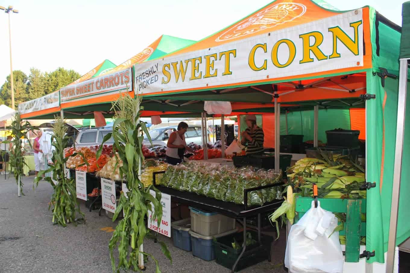 19 Fun Things to do in Vernon BC - Discover the Pacific Northwest