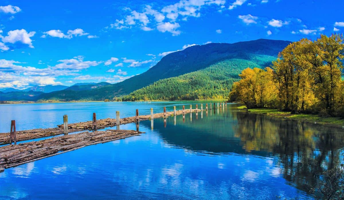 Discover Harrison River Valley: A PNW Getaway for All Seasons ...