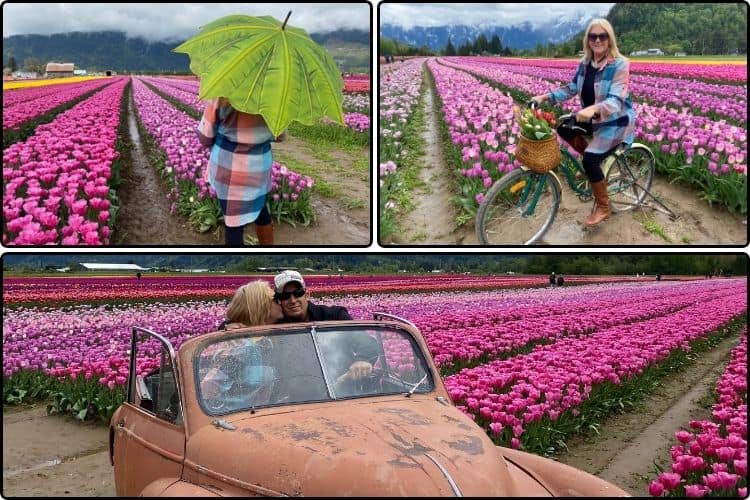 Discover Harrison River Valley: A PNW Getaway for All Seasons ...