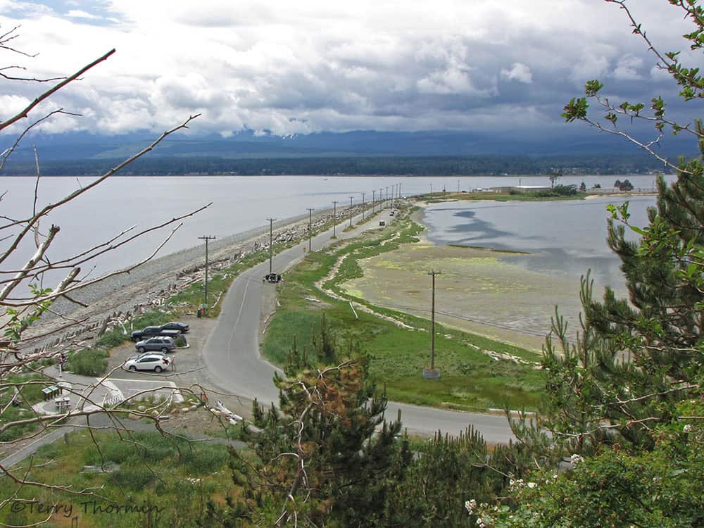 Uncover the Best Things to Do in Comox, BC - Discover the Pacific Northwest
