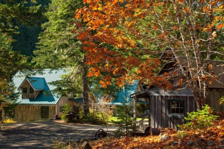 Ultimate Guide to Fall Foliage in Oregon State - Discover the Pacific ...