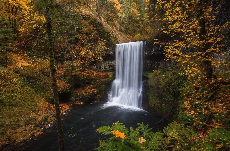 Ultimate Guide to Fall Foliage in Oregon State - Discover the Pacific ...
