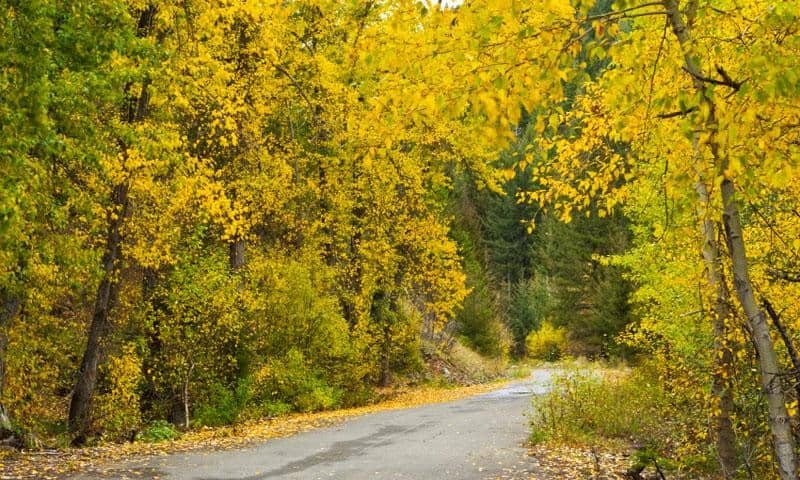The Most Scenic Drives in Washington State for Year Round Beauty ...