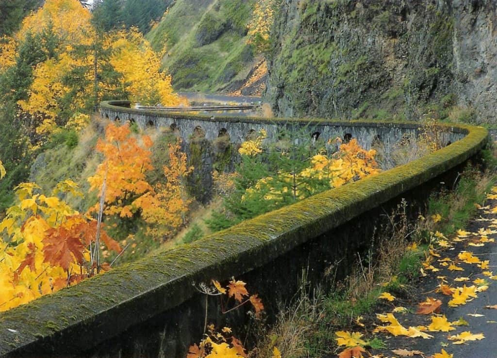 Ultimate Guide to Fall Foliage in Oregon State - Discover the Pacific ...