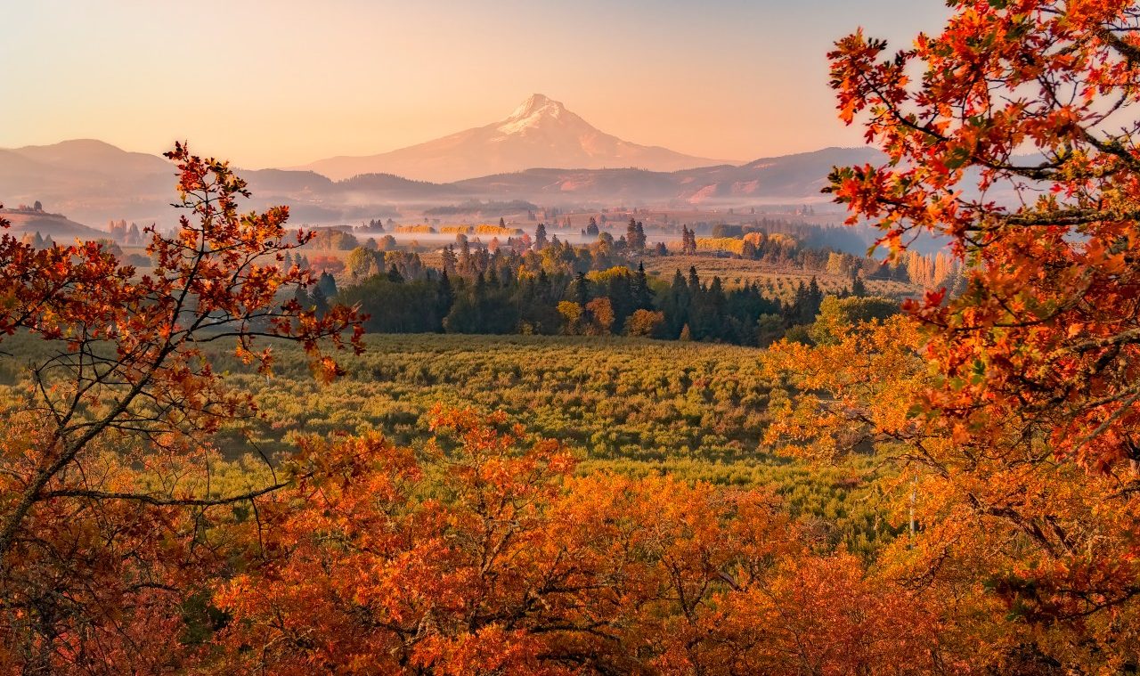 Ultimate Guide to Fall Foliage in Oregon State - Discover the Pacific Northwest