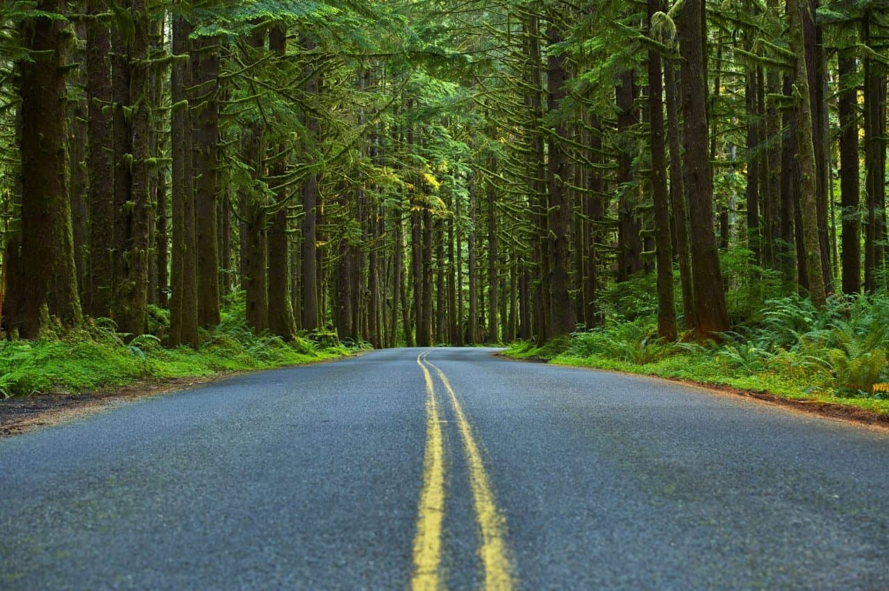 The Most Scenic Drives in Washington State for Year Round Beauty ...