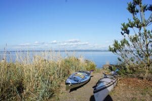 12 Epic Spots for Kayaking in Puget Sound - Discover the Pacific Northwest