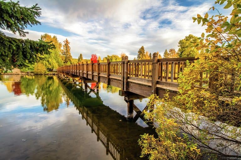 Ultimate Guide to Fall Foliage in Oregon State - Discover the Pacific ...