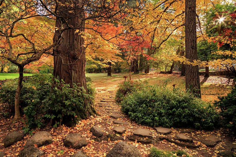 Ultimate Guide to Fall Foliage in Oregon State - Discover the Pacific ...