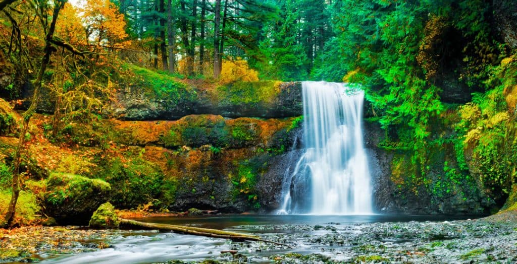 Ultimate Guide to Fall Foliage in Oregon State - Discover the Pacific ...