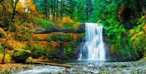 Ultimate Guide to Fall Foliage in Oregon State - Discover the Pacific ...