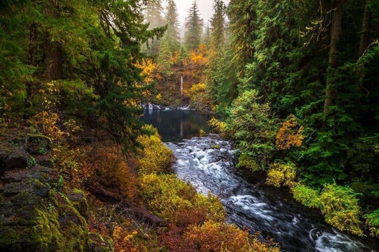 Ultimate Guide to Fall Foliage in Oregon State - Discover the Pacific ...