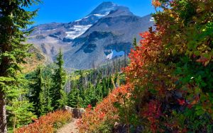 Ultimate Guide to Fall Foliage in Oregon State - Discover the Pacific ...