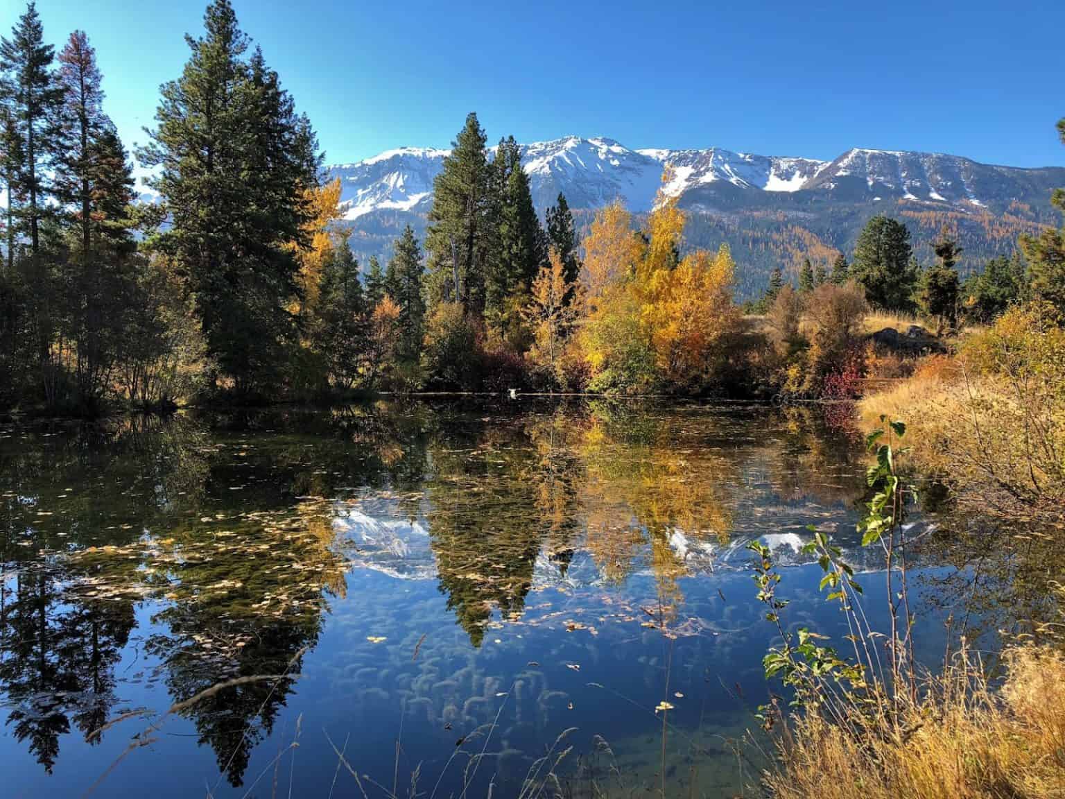 Ultimate Guide to Fall Foliage in Oregon State - Discover the Pacific ...