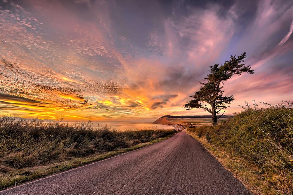 The Most Scenic Drives in Washington State for Year Round Beauty ...