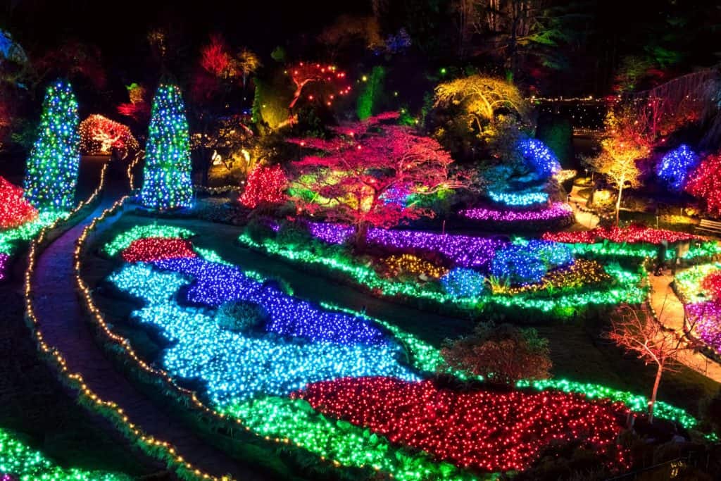 Celebrate Christmas in Victoria, BC: Lights, Parades, and Family Fun ...