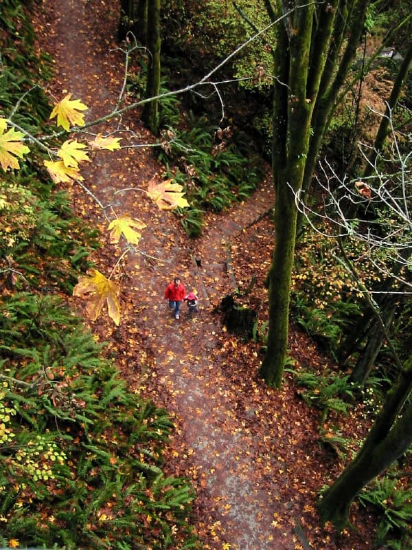 Exploring Fall Colors in Seattle: Parks, Neighborhoods, and Photo ...