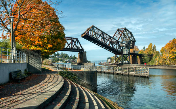 Exploring Fall Colors in Seattle: Parks, Neighborhoods, and Photo ...