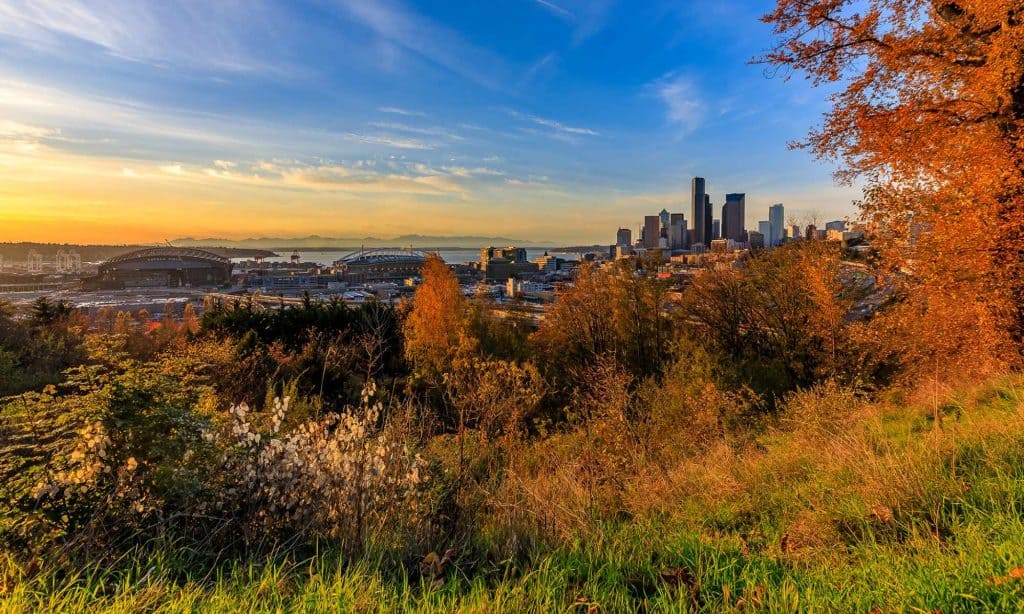 Exploring Fall Colors in Seattle: Parks, Neighborhoods, and Photo ...
