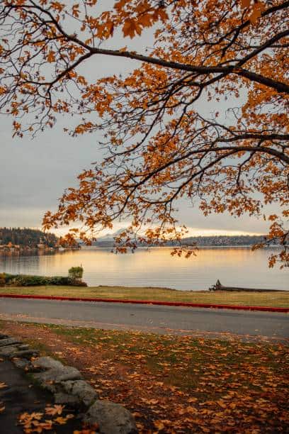 Exploring Fall Colors in Seattle: Parks, Neighborhoods, and Photo ...