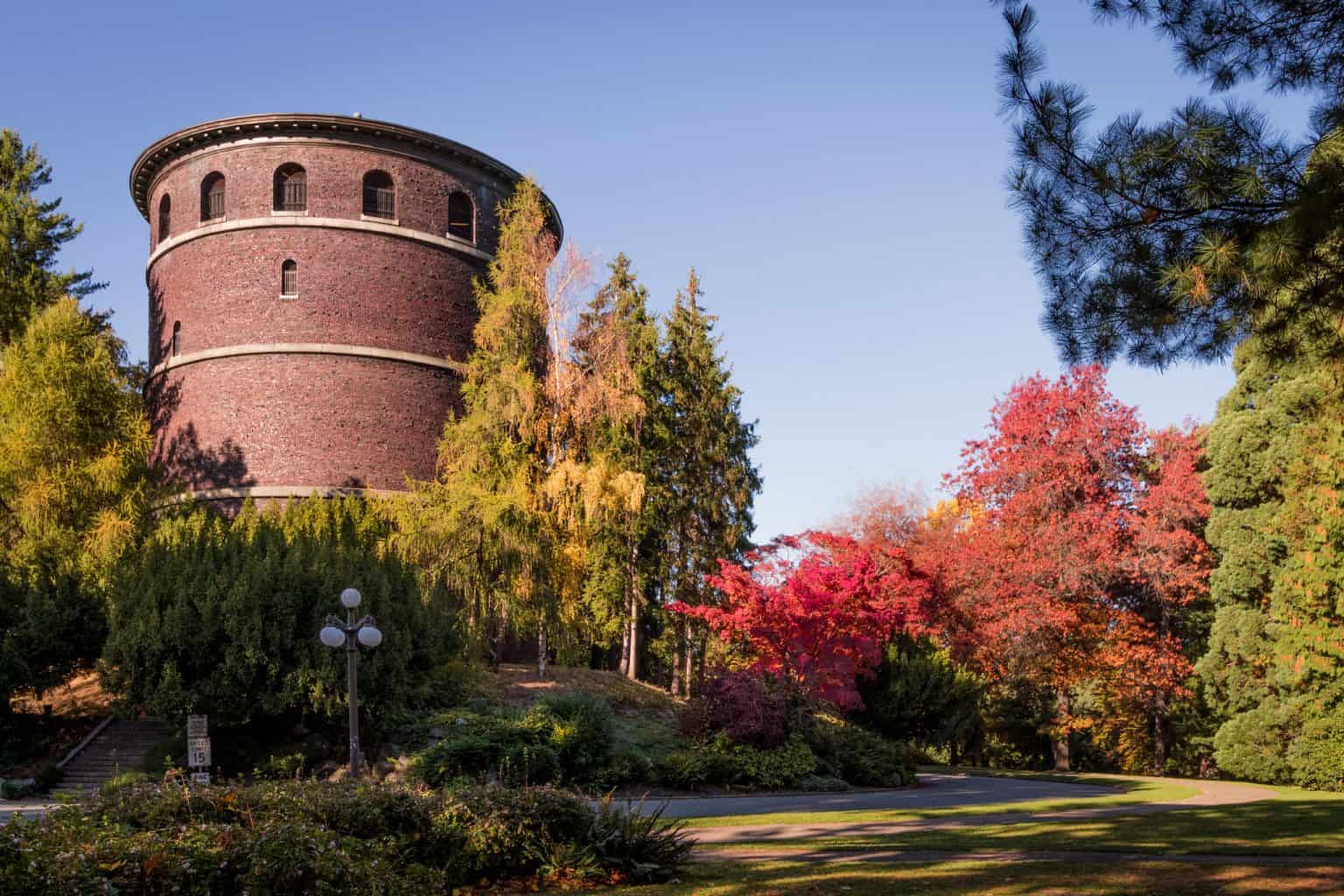 Exploring Fall Colors in Seattle: Parks, Neighborhoods, and Photo ...