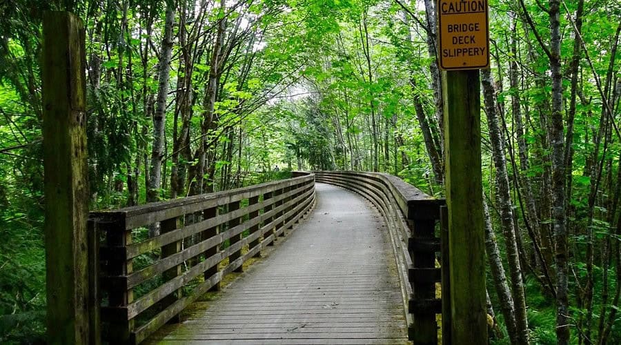 Full Guide of Things to do in Sequim WA - Discover the Pacific Northwest