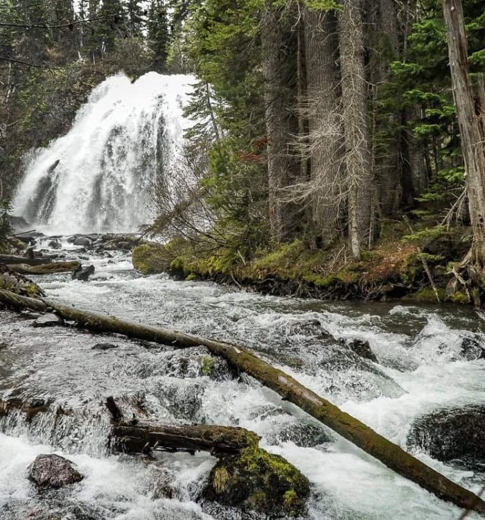 Discover the PNW - Discover the Pacific Northwest